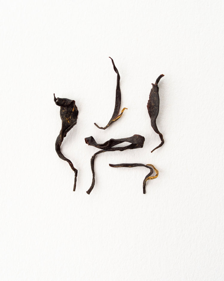 rami tea – Tees & Matcha direkt aus kleinen Teegärten